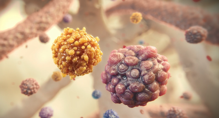 The hope of CAR-T, living drugs against cancers