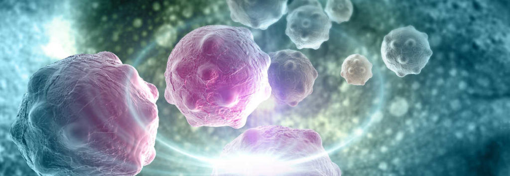 Understanding apoptosis: programmed cell death