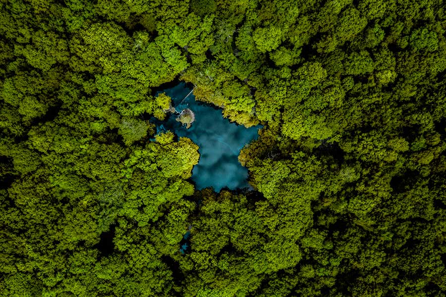 How to reduce our greenhouse gas emissions?